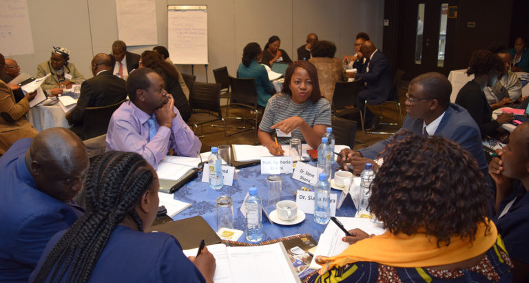 Leading African scholars discuss their plans to contribute to ...