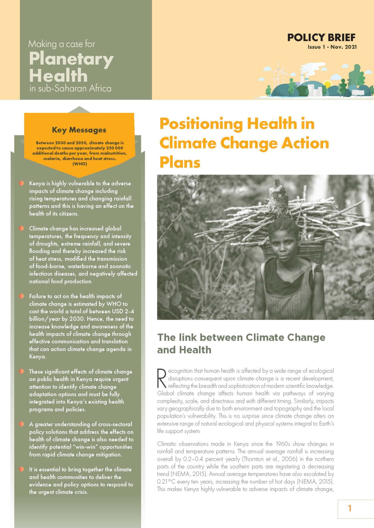 Publications - African Institute for Development Policy - AFIDEP