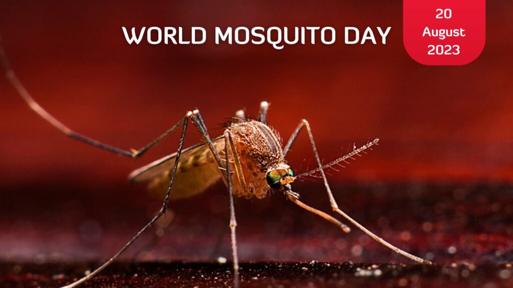 World Mosquito Day: Towards Ending Malaria and Vector-Borne Diseases in ...