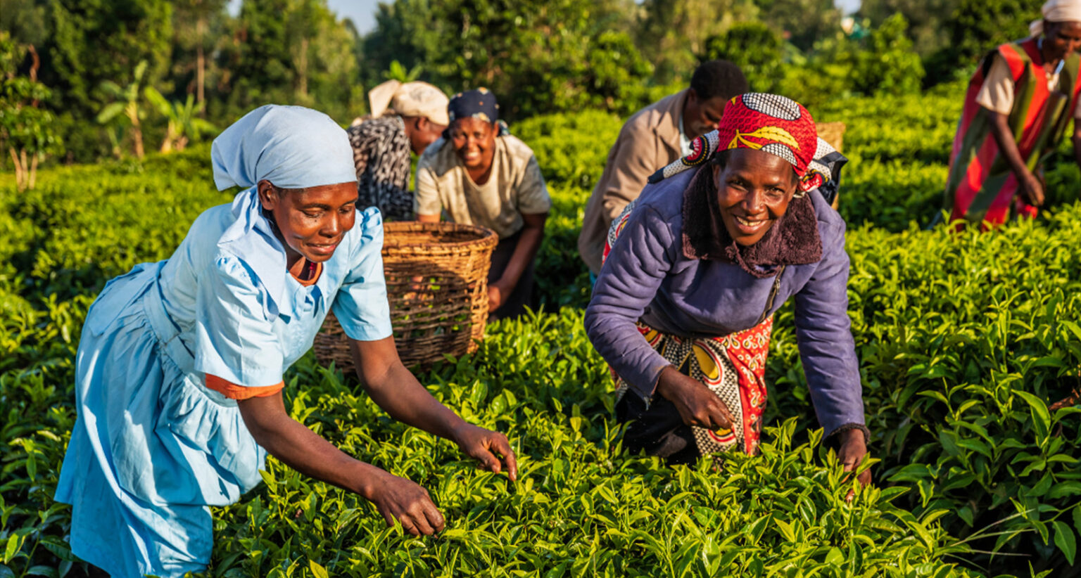 Achieving gender equality and women’s economic empowerment through ...
